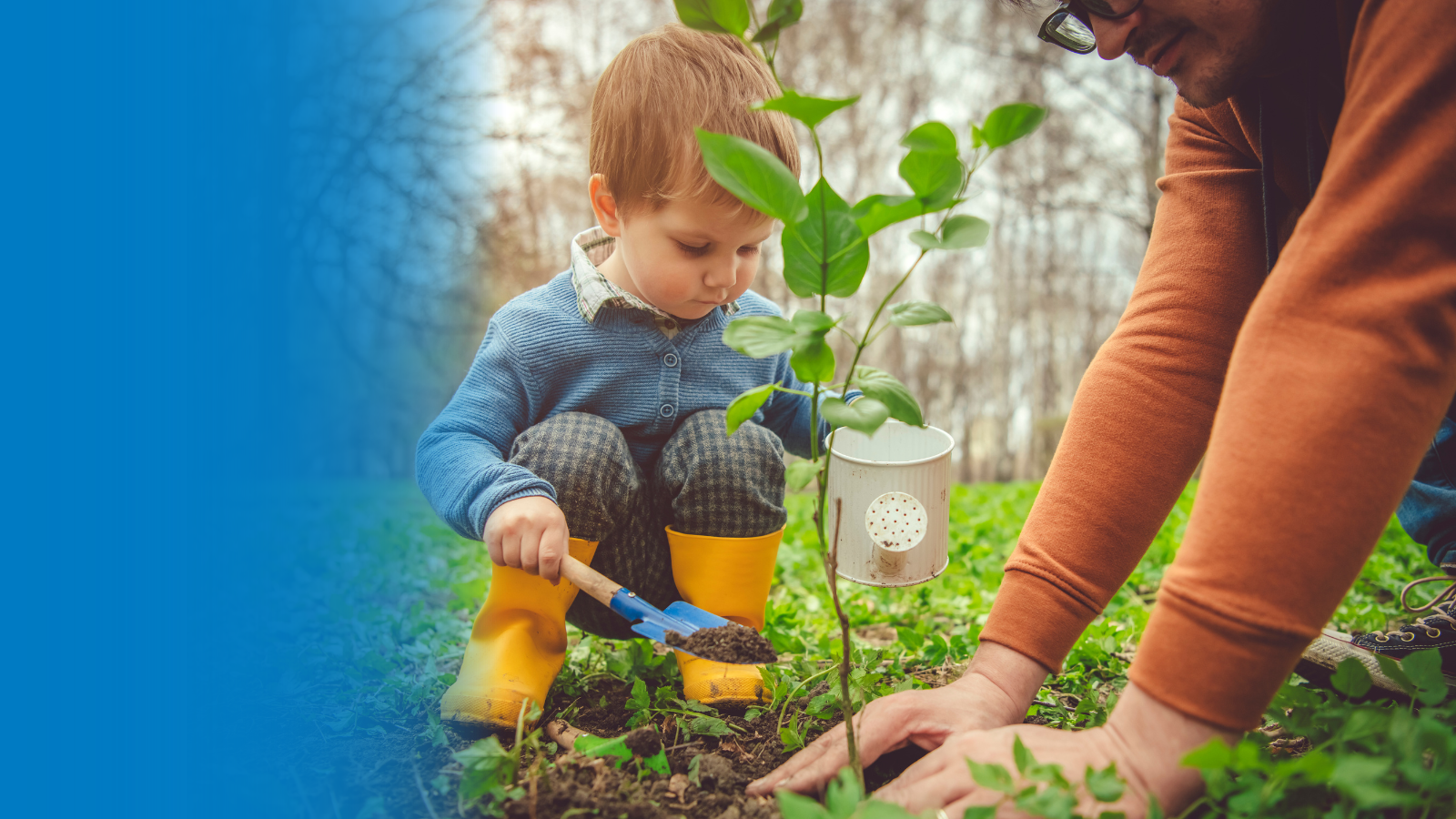 Personal and Business Banking Solutions - NexTier Bank