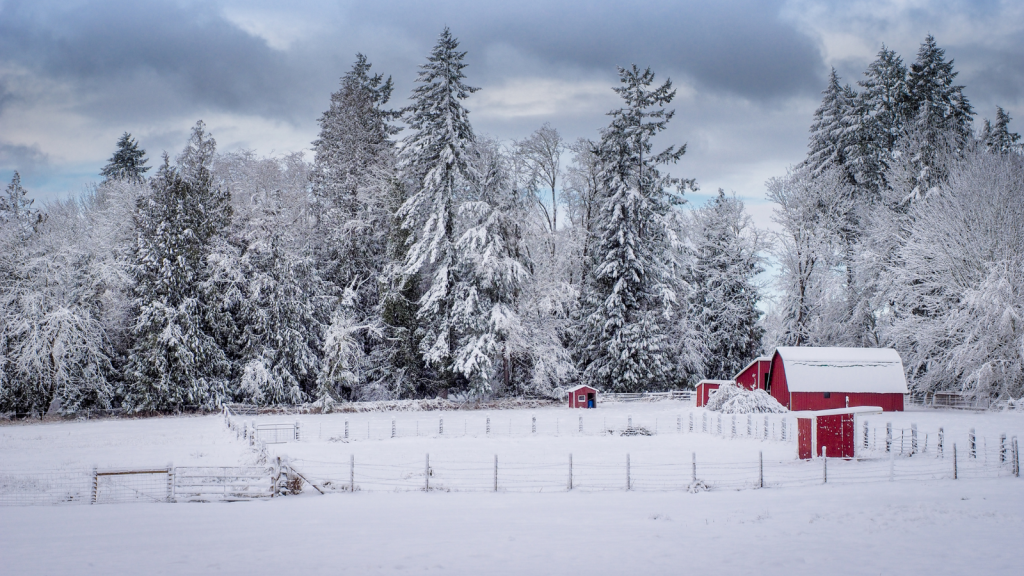 Personal and Business Banking Solutions - NexTier Bank